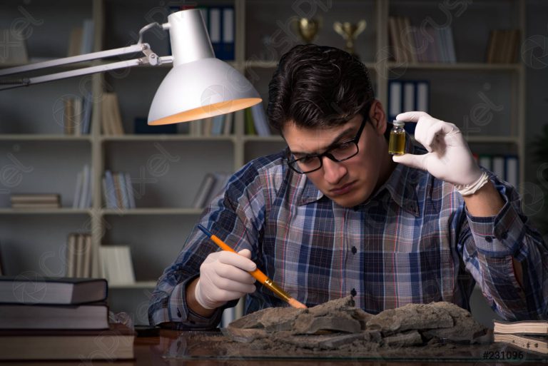 Jobsland -How to Become an Archaeologist - Jobsland